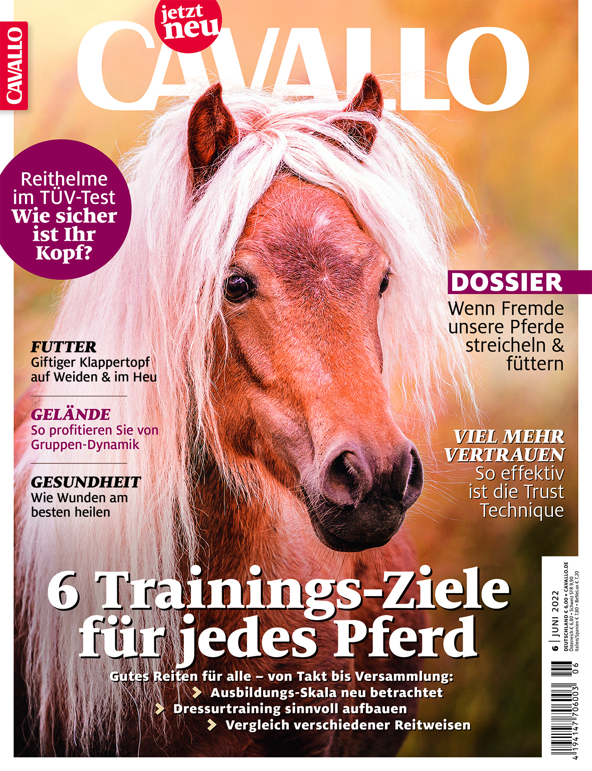 CAVALLO startet Aufklärungskampagne - Motor Presse Stuttgart
