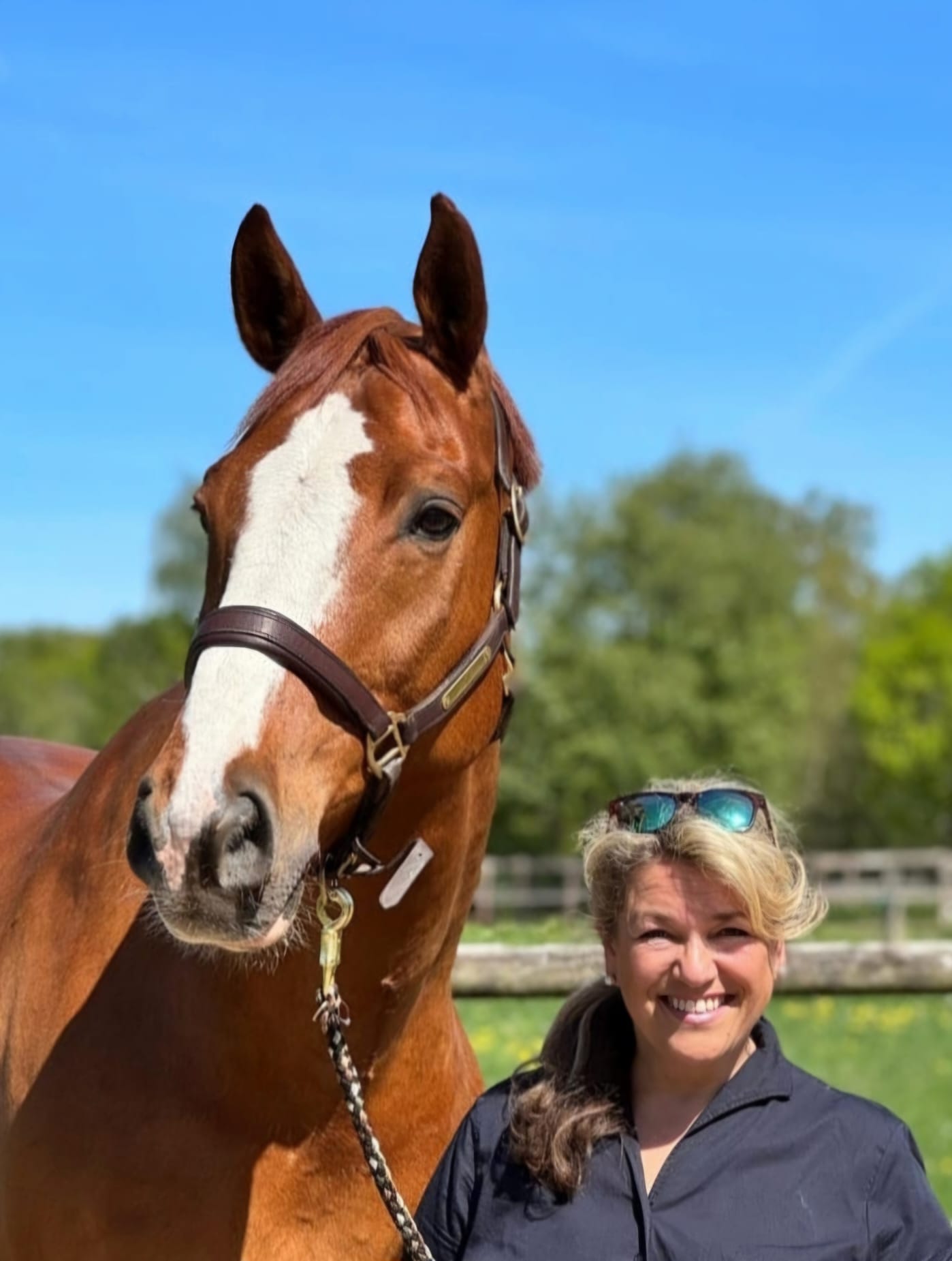 Viel Erfahrung im Bereich Pferde und Reitsport - Motor Presse Stuttgart